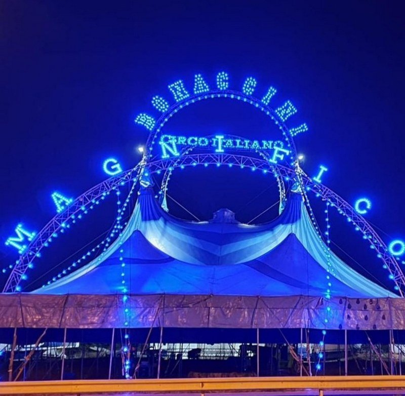 Circo Acquatico Bonaccini :: TicketServices.gr